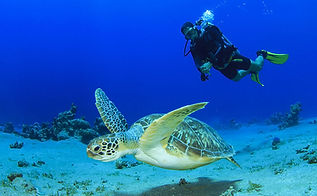 North Cyprus | Jeep Safari | Boat Trips | SUP Hire & Tours | Vineyard ...